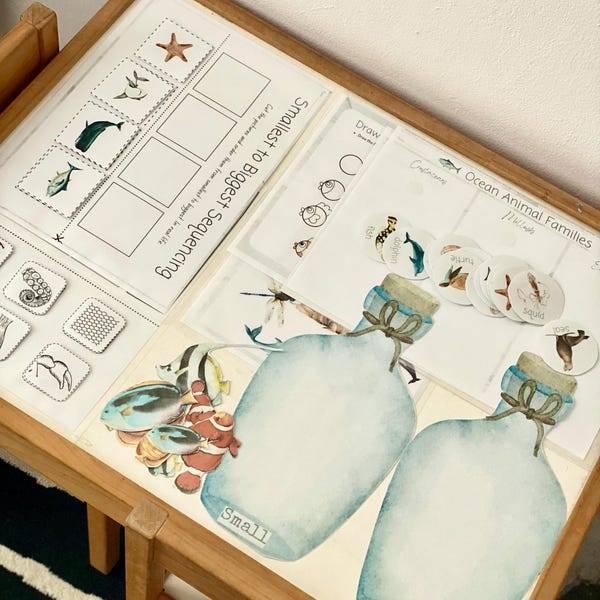 The Water Cycle Posters - Freebie Over at Our Website - Etsy