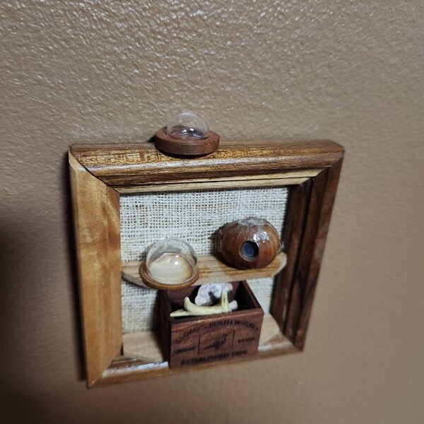 DIY Miniature Cabinet of Curiosities KIT Oddities Museum Collection ...