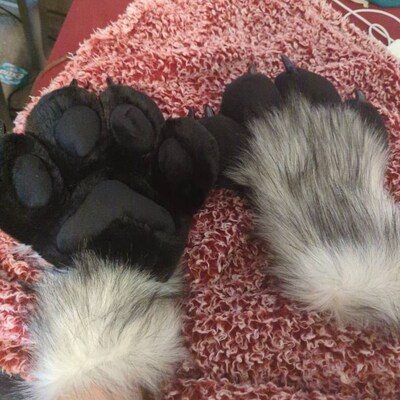 Green Blacj Fur Paws With Claws Fursuit Hand Paws Cat Paws Furry ...