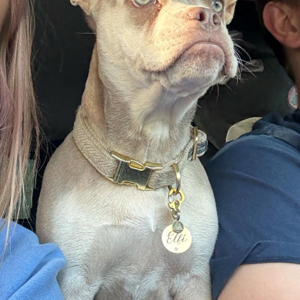 Champagne Wedding Cake Cutter Set With Forks Personalized - Cake ...