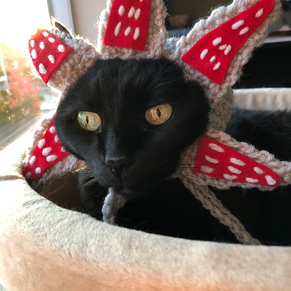 MADE TO ORDER Catogorgon Cat Hat-cat Costumes-cat Hats - Etsy UK