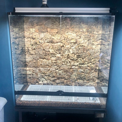 XL Natural Cork Tile Panel Background Wall 3D Reptile - Etsy UK