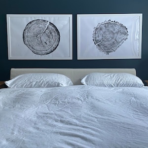 Blue Tree Ring Art Blue Tree Ring Print Fixer Upper Art | Etsy