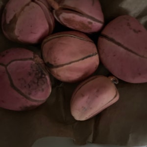 2 Inch Beautiful Hand Carved Bone Yoruba Ere Esu Ifa Glass - Etsy