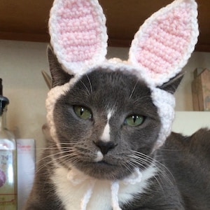 Bunny Rabbit Ear Hat for Cats - Etsy