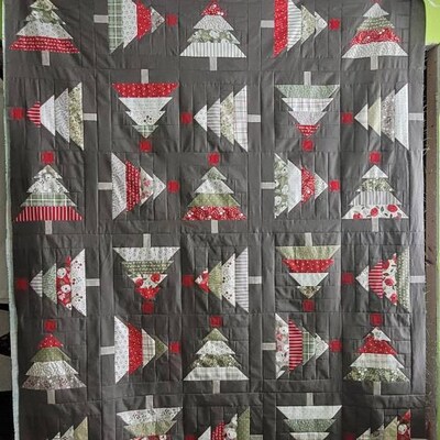 Jellybeans Quilt Kit by Camille Roskelley for Moda 60 X 76 Lighthearted ...