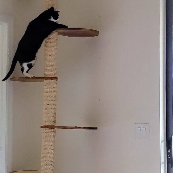 Floor To Ceiling Cat Tree Cat Basket Handmade Luxury Cat Furniture Custom Height Custom Baskets