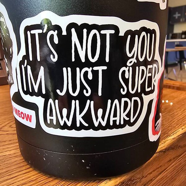 I'm Sorry Facts and Logic Offend You Vinyl Sticker, Funny Stickers ...