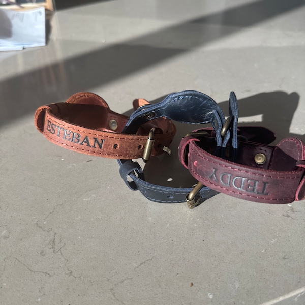 Personalized Leather AirTag Dog Collar, AirTag Dog Collar, Collar for ...