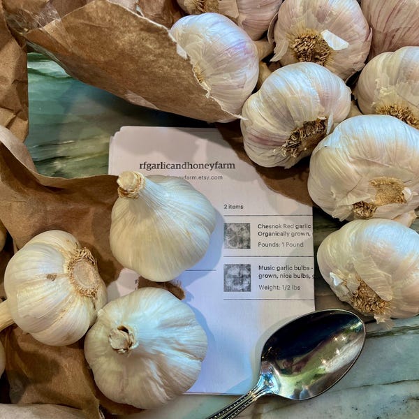 Duganski Culinary Garlic Bulbs - Small Size: 1 5/8" to 1 7/8 ...