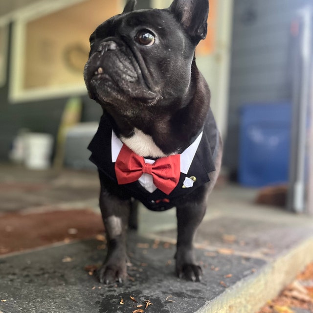 MuttsandMarriage - Etsy Australia