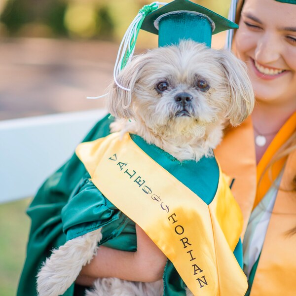 Professor Paws, FD-2108.PupPak-4 Szs: 4XS, 3XS, 2XS, XS, PDF Pet Grad ...