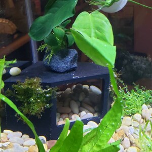 Skeleton Human Hand right Hand Prop Sculpture | Etsy