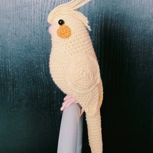 Crochet parrot DIY pattern Easy Tutorial PDF Amigurumi | Etsy