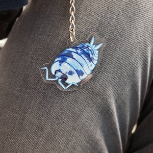 Isopod Acrylic Keychains - Etsy