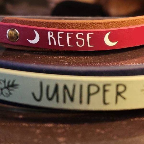 Double Layer Custom Name Collar & Leash Combo - 3/4 Inch - Etsy