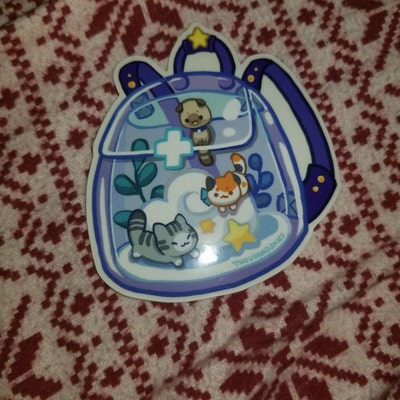 Vinyl Sticker transparent First Meow Kit Kittens Bag - Etsy