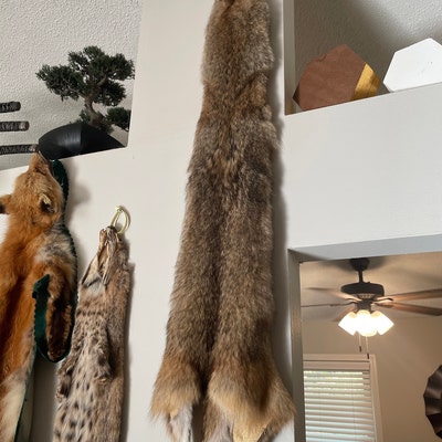 Red Fox Hide With 4 Feet Professionally Tanned/semi Heavy - Etsy