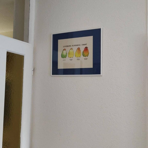 Lovebird Ripeness Chart Poster - Etsy