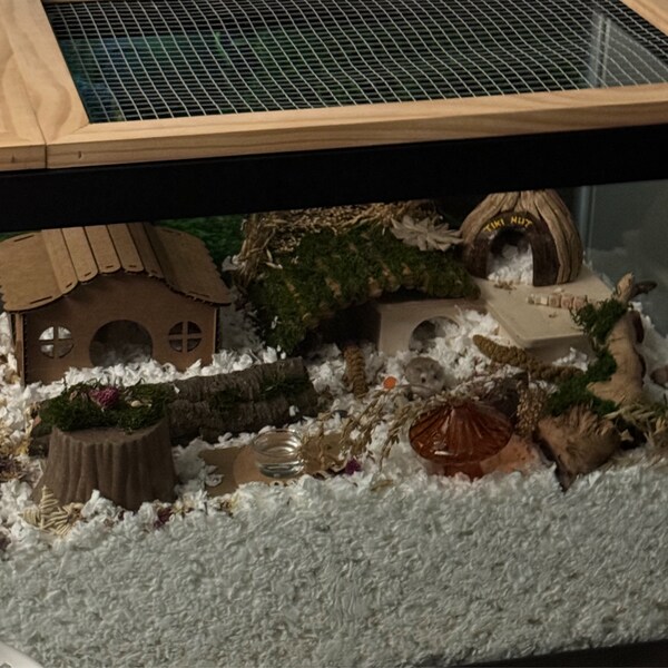 Cardboard Hobbit Style Hidey - Etsy