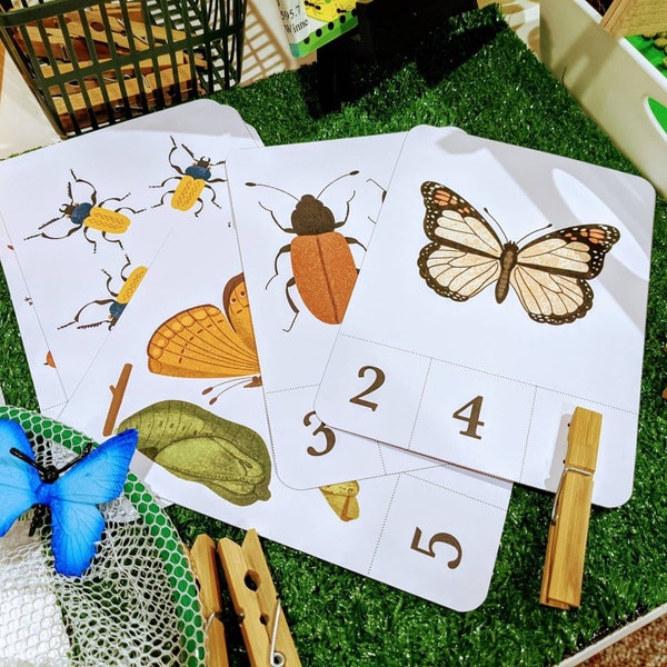 Bugs Count and Clip 1-20 Number Cards | Nature Homeschool Printables ...