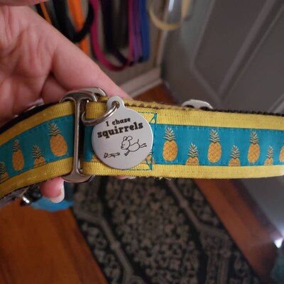 I Chase Squirrels Dog Tag, Funny Dog Tag, Custom Dog ID, Personalized ...