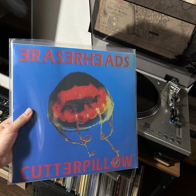 Personalized Vinyl Record Sleeve or Jacket With Your Photos Perfect for ...