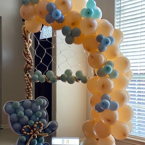 Sushi Party Decorations Sushi Party Ideas Sushi Balloon | Etsy