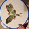 Luna Moth Embroidery Pattern, Stumpwork Embroidery Pattern, 3D Insect ...