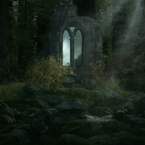 Fae Silhouette PRINT, Full Moon Fairy Art, Celestial Mystical Fantasy ...