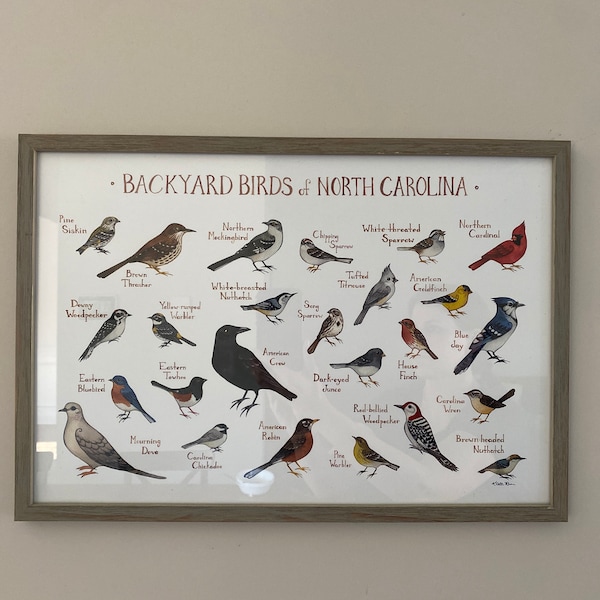 North Carolina Backyard Birds Field Guide Art Print / Watercolor ...
