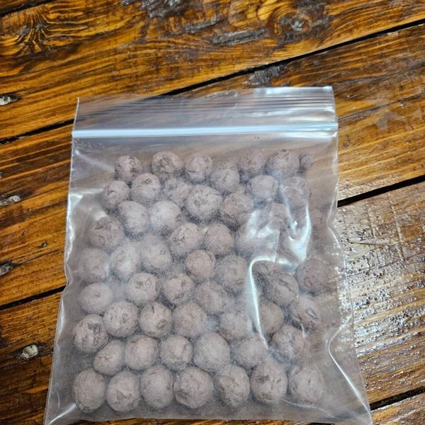 Milkweed Seed Clay Break Away Snails - 10 Sections. 10+ Seeds per ...