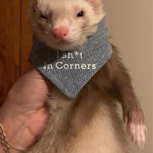 Ferret Bandana Ferret Bandanas Ferret Clothes Gifts for - Etsy
