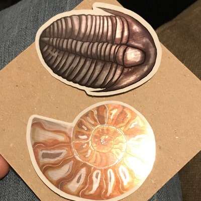 Paleontology Ammonite Trilobite Sticker Geology Paleontology - Etsy