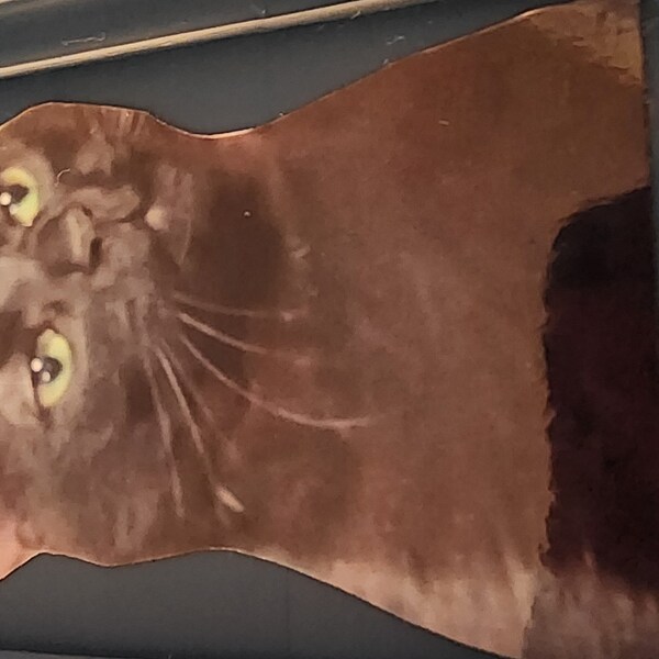 Zoning Out Black Cat Sticker No Border, Dissociating Cat Sticker, Cat ...