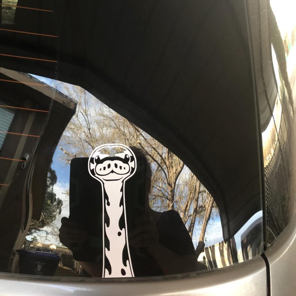 Peeking Ball Python Decal - Periscoping Snake, Serpent, Boa, Reptile ...