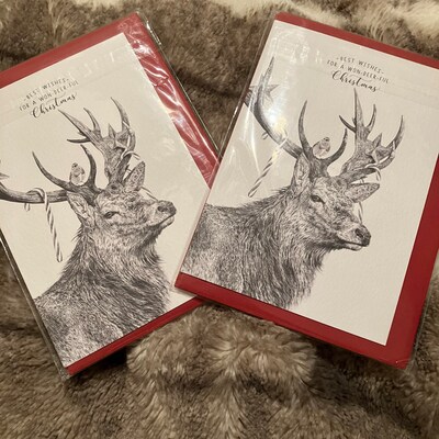 Personalised Chicken Hen Bookmark Bird Book Lover - Etsy