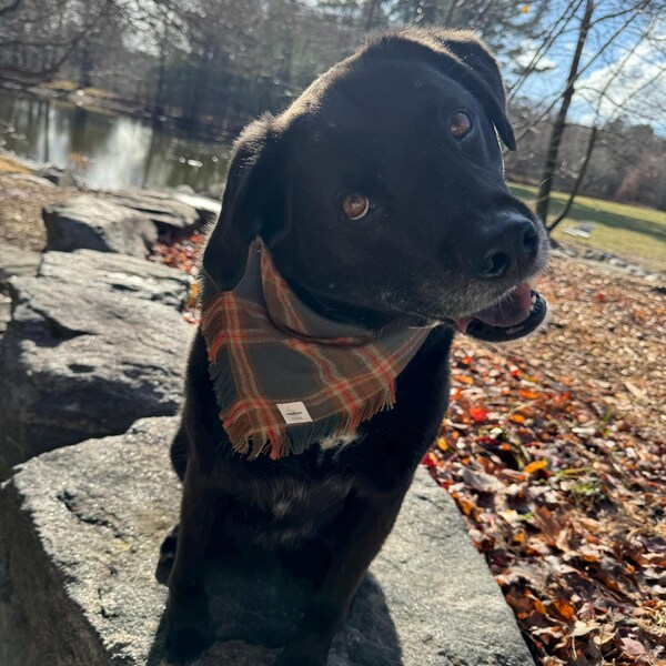 Daisy Garland Crochet Flower Bunner Kids Art Display Daisy Wall Decor ...