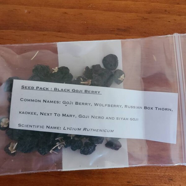 Maqui Seeds - 15 Organic Wild Harvested Maqui / Chilean Wineberry ...