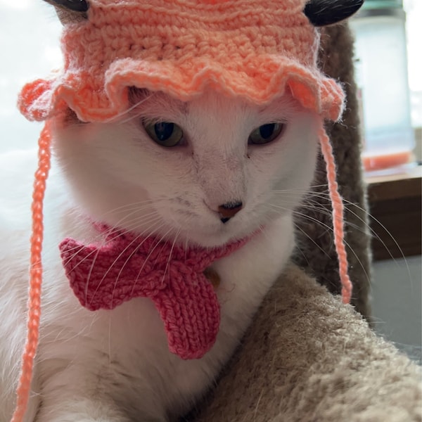 Peach Cat Hat, Crochet Peach Hat for Cat, Peach Hat for Cats, Costume ...