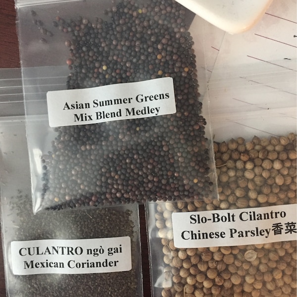 8-gram 5000+ Asian Summer Greens Seeds Mix Blend: Gai Lan, Yu Choi ...