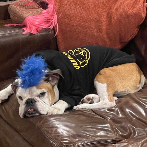 Dog Mohawk Size Large - Etsy
