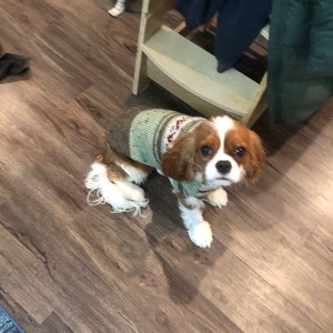 Sock Monkey Dog Snood Hand Knit Long Ear Covering Cold Weather Snood 3 ...