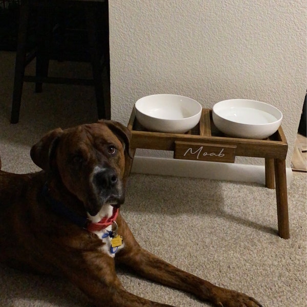 Large Breed Dog Food Stand | Modern Dog Feeding Station | Elevated ...