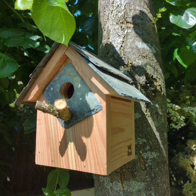 Bird House Nest Box With Welsh Slate Roof Blue Tit Box - Etsy UK