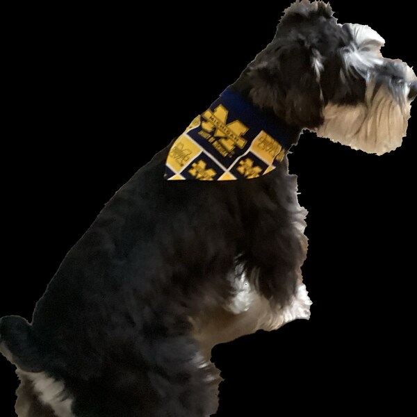 University of Michigan Dog Coat - Etsy