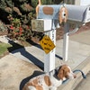 Dog Mailboxes Boxer Mailbox - Etsy Canada