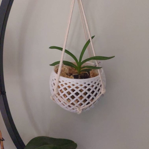 Orchid Pot, Airplant, Hanging Planter Moss, Planter Indoor, Hanging ...