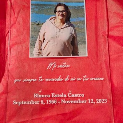 Palm Tree Scenic Personalized Custom License Vanity Plate Free - Etsy