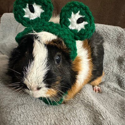 Mouse Hanging Hammock for Small Animals Cage Hammock for Multiple Mice ...